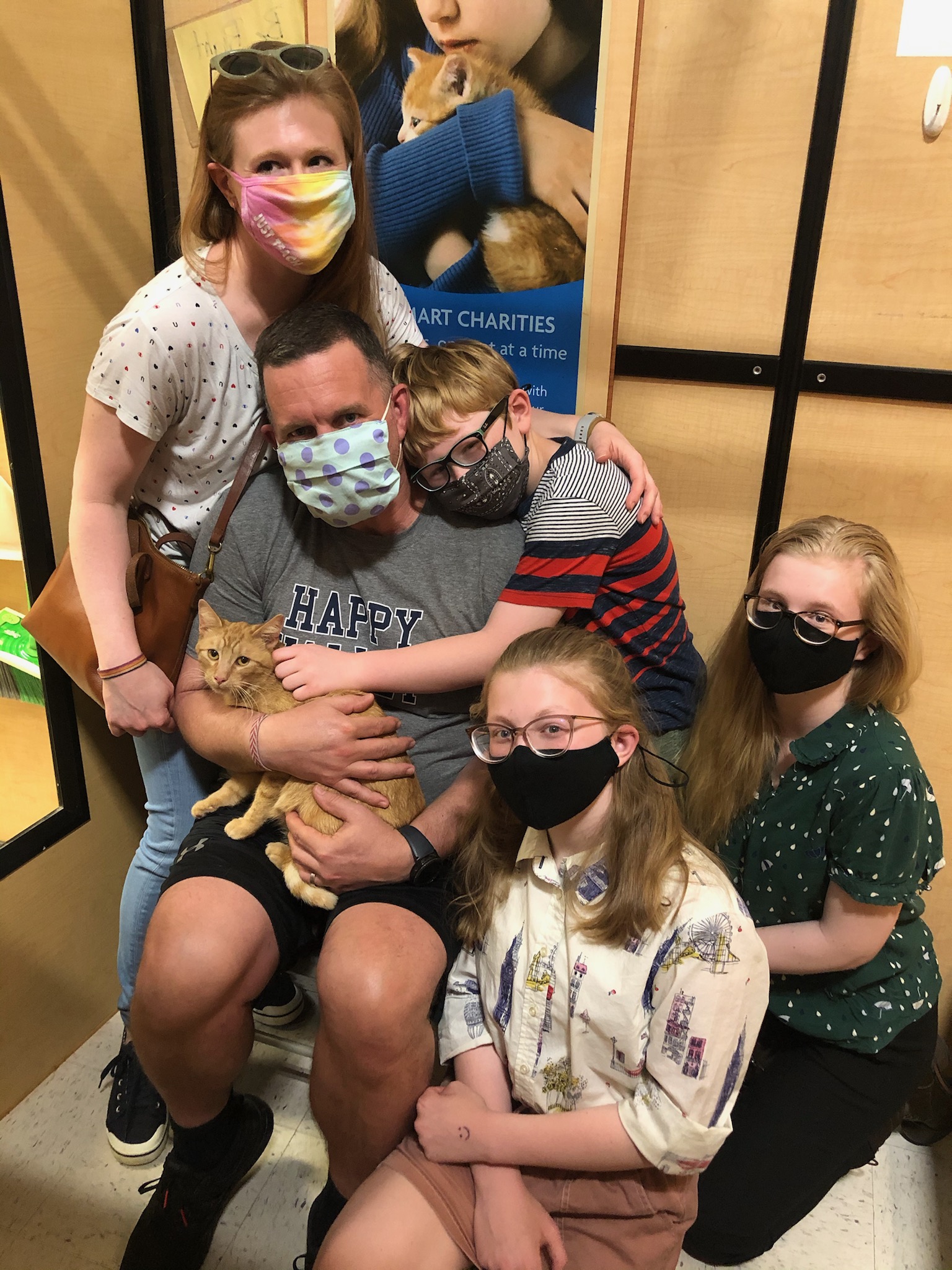 Adoption – Purring Hearts VA